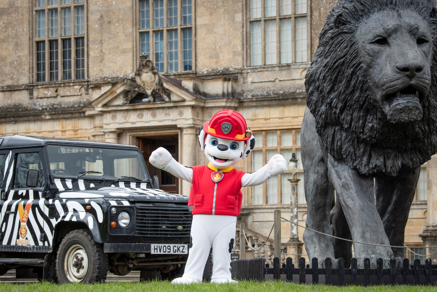 Jungle pups have an adventure at Longleat Safari Park - Visit West
