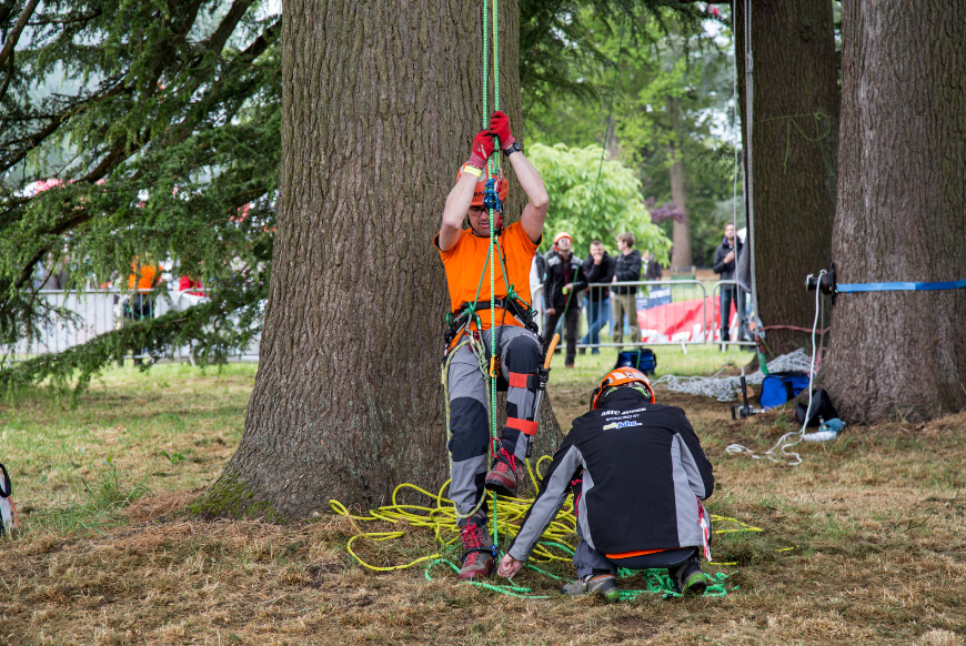 The ARB Show returns to celebrate the world of tree care - Visit West