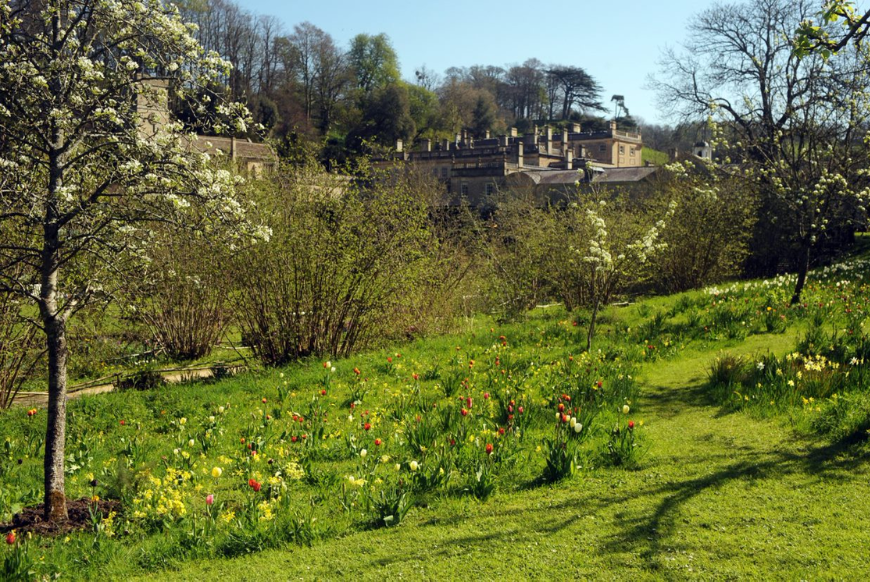 Thousands of tulips set to flower at Dyrham Park - Visit West
