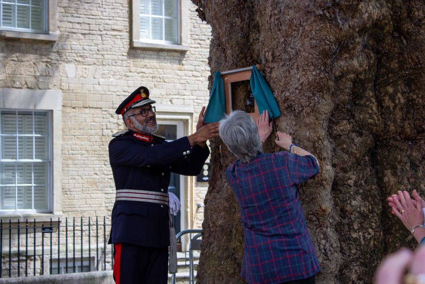 First Bath Urban Treescape plaque unveiled on Abbey Green London Plane ...