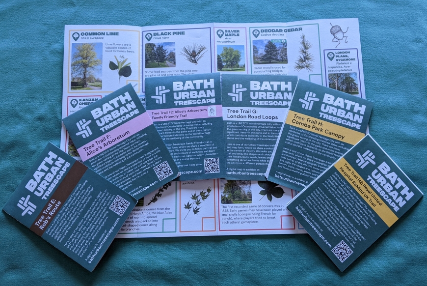 Bath Urban Treescape launch of new Tree Trails - Visit West