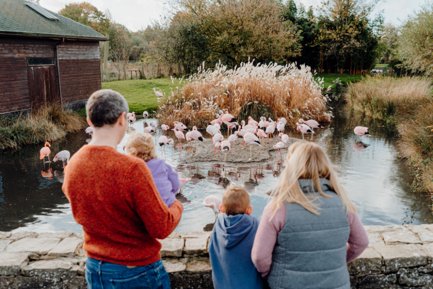 WWT Slimbridge Wetland Centre named finalist in national VisitEngland ...