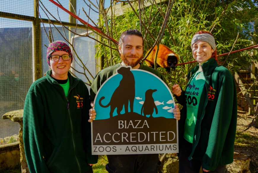 Noah’s Ark Zoo Farm recognised as a leader in animal welfare with ...
