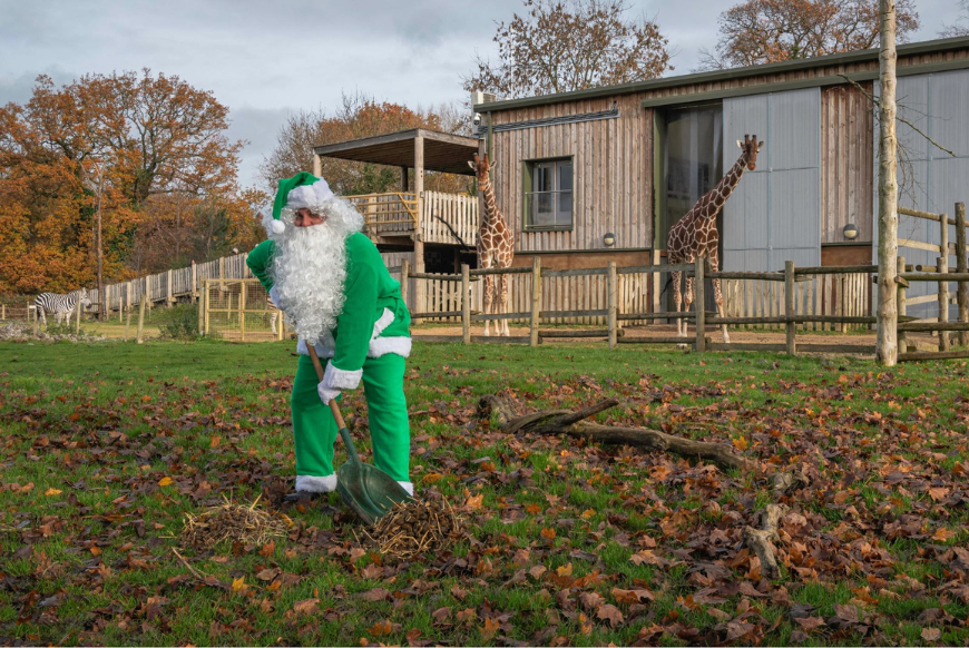 Santa ensures no animal dung goes to waste with new wrapping paper plan ...