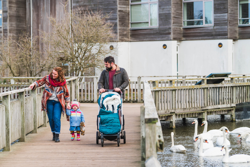 WWT Slimbridge Wetland Centre wins double Gold in Bristol, Bath ...