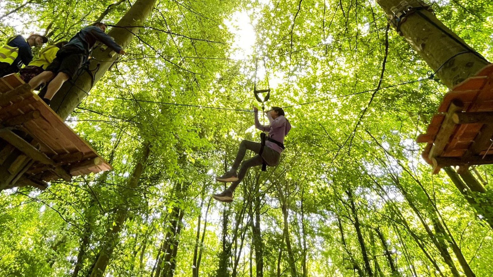 Adventure Bristol's ‘Tree Tops’ climbs to No.1 in TripAdvisor rankings ...