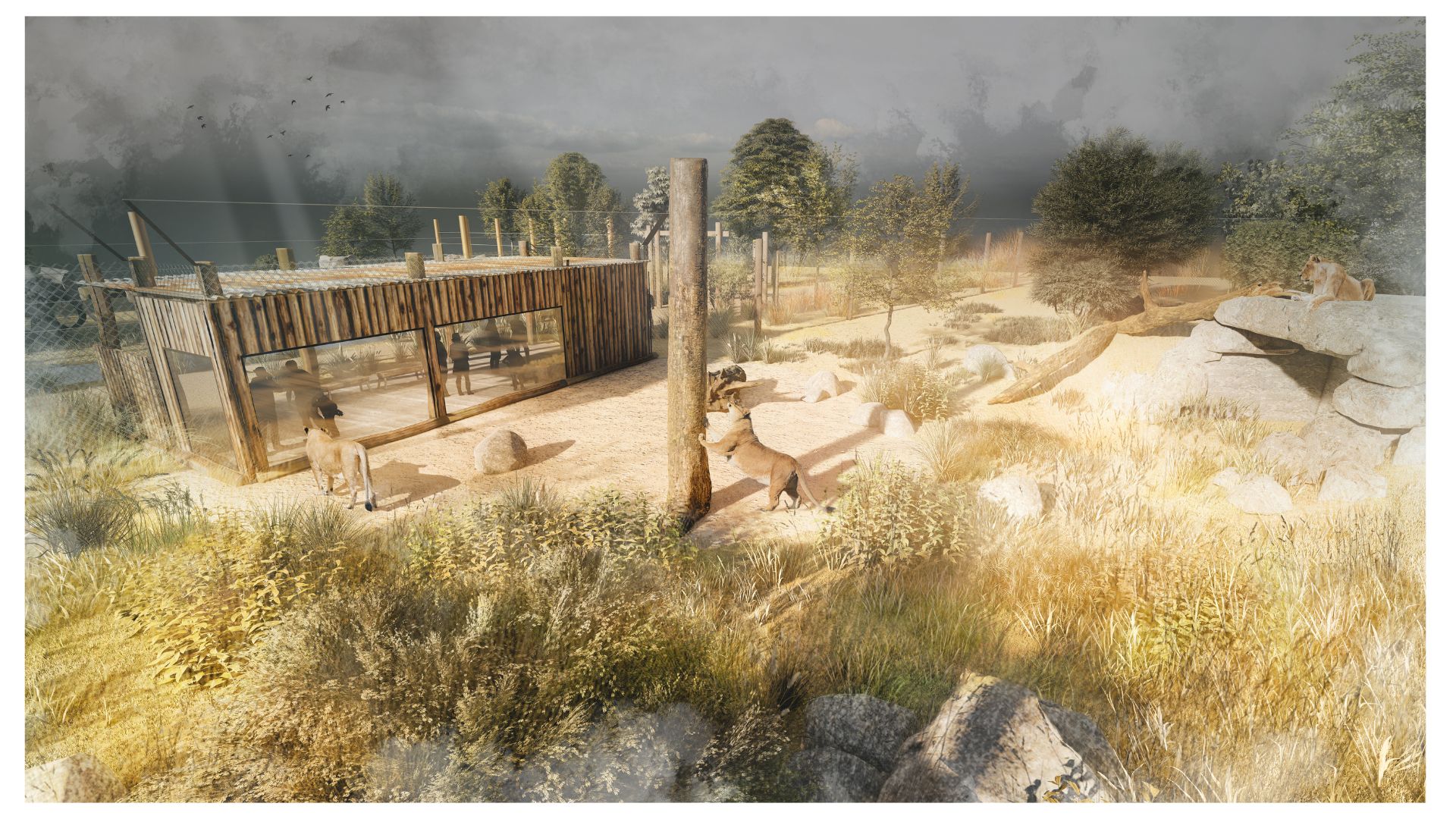 Noah’s Ark Zoo Farm launches ambitious plans for major new carnivore ...