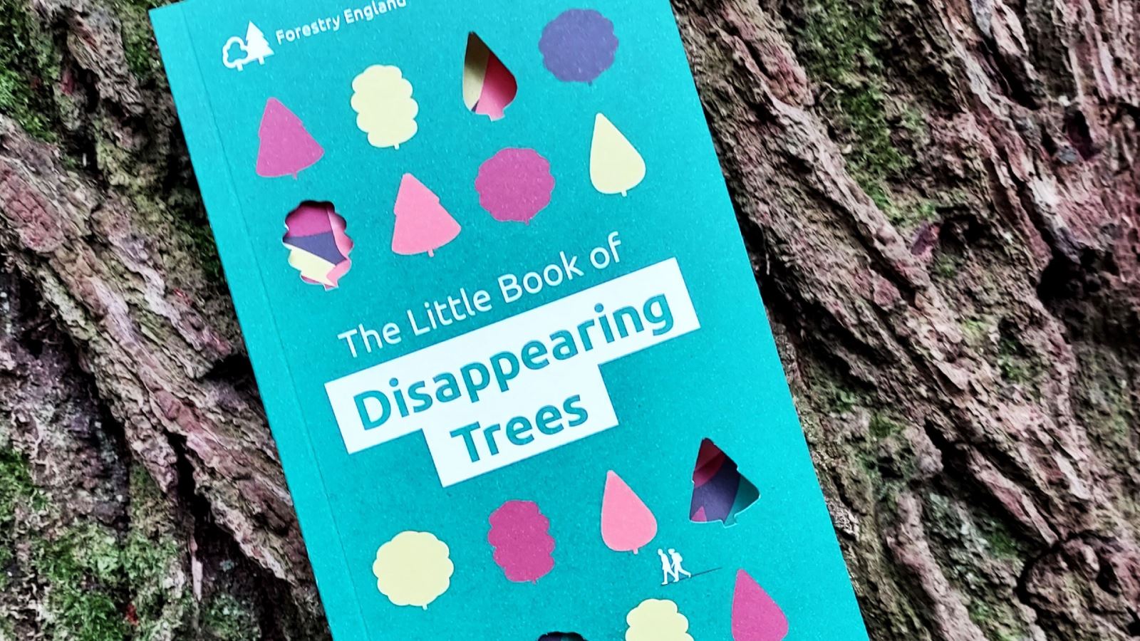Westonbirt Arboretum’s new book highlights global issue of disappearing ...