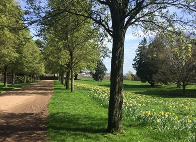 Ashton Court Estate - Garden in Bristol, Long Ashton - Visit West